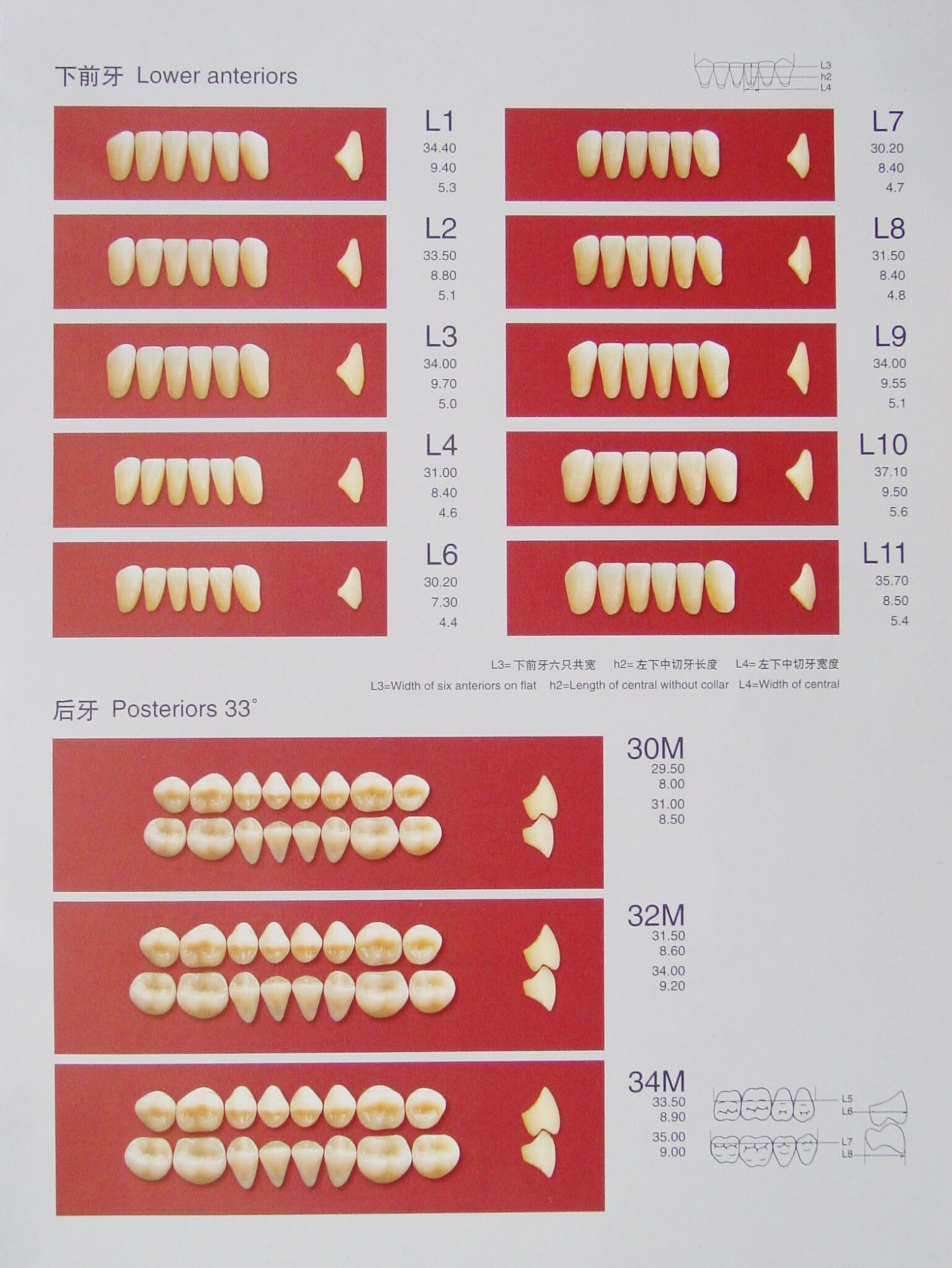 Synthetic Acrylic Resin Teeth – chinadentalmall.com